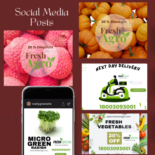 FreshAgro Digital Marketing | Social Media expert for e-commerce | Brandigi